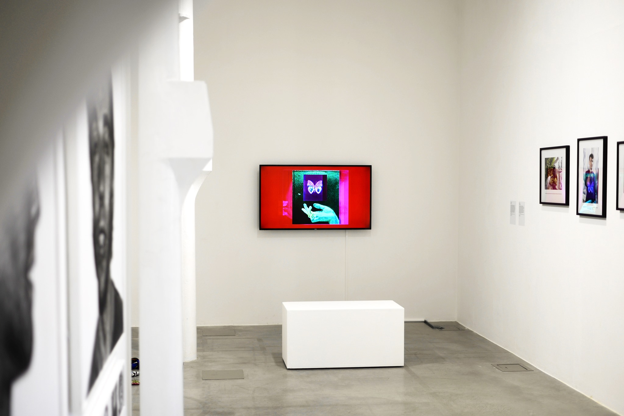 Aspex Portsmouth Platform 2020 - Aspex Portsmouth