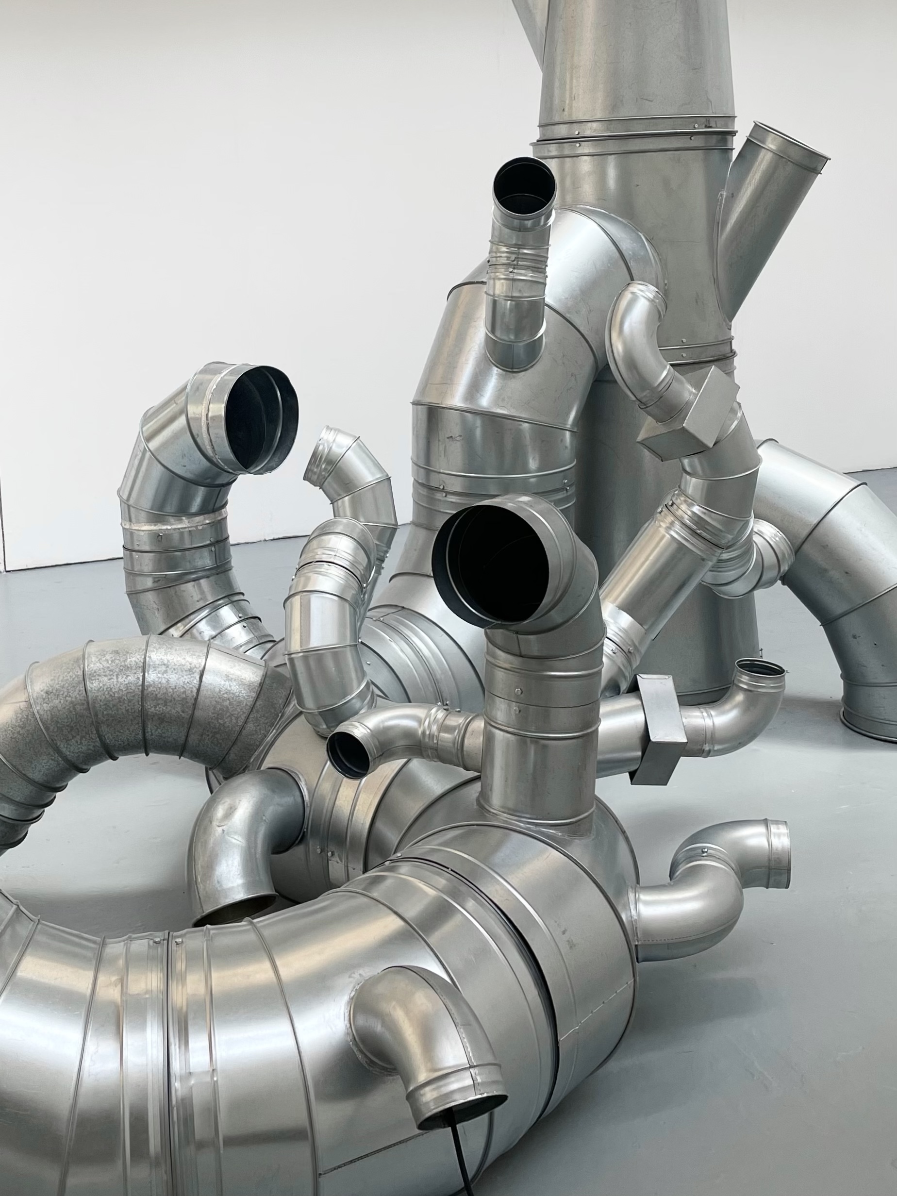 Aspex Portsmouth Preview, Colony (The Platform Graduate Award 2024 ...