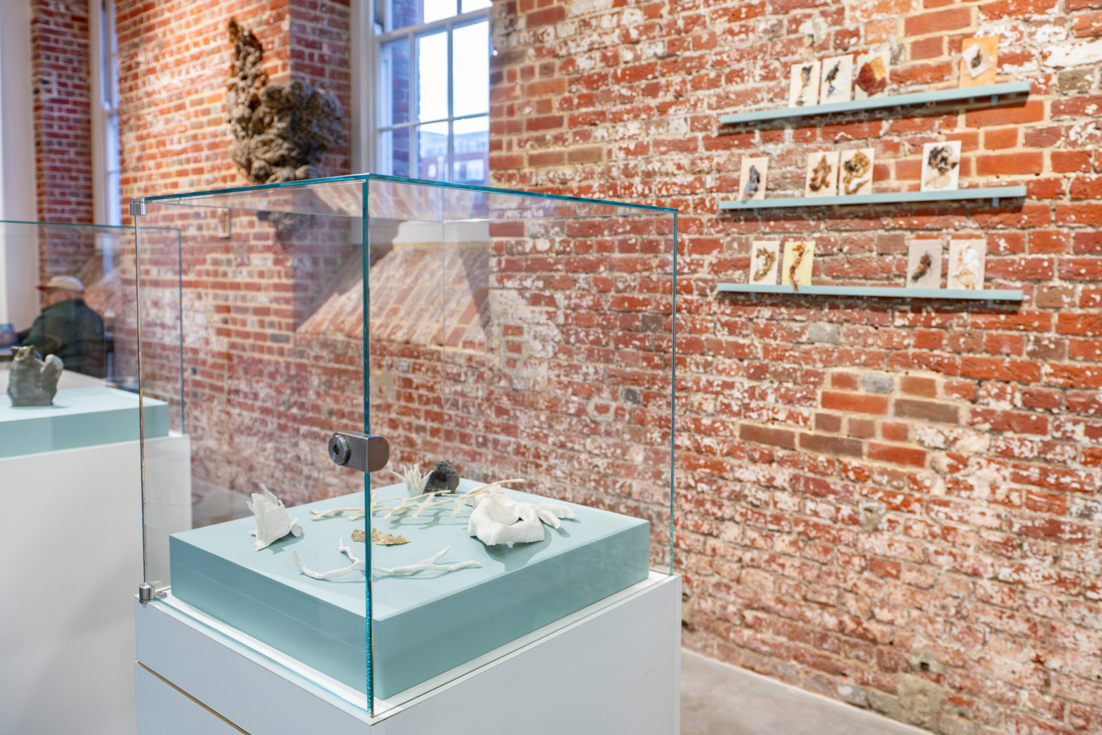 Aspex Portsmouth Living Materials, Louise Frances Smith - Aspex Portsmouth