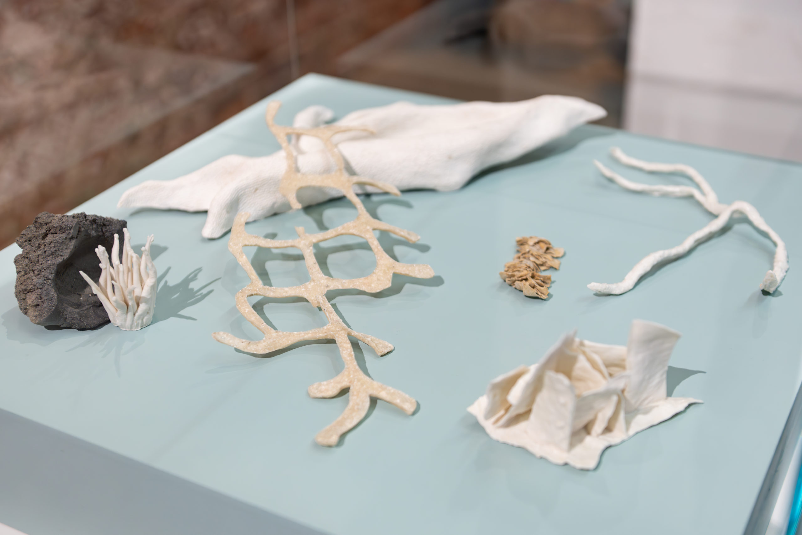 Aspex Portsmouth Living Materials, Louise Frances Smith - Aspex Portsmouth